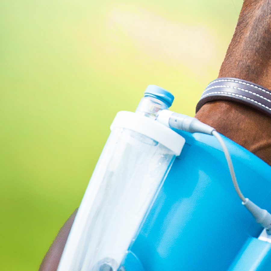 Häufig gestellte Fragen